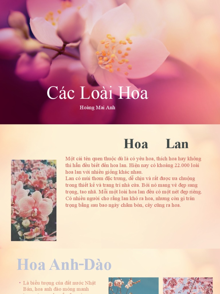 Các Loài Hoa | PDF