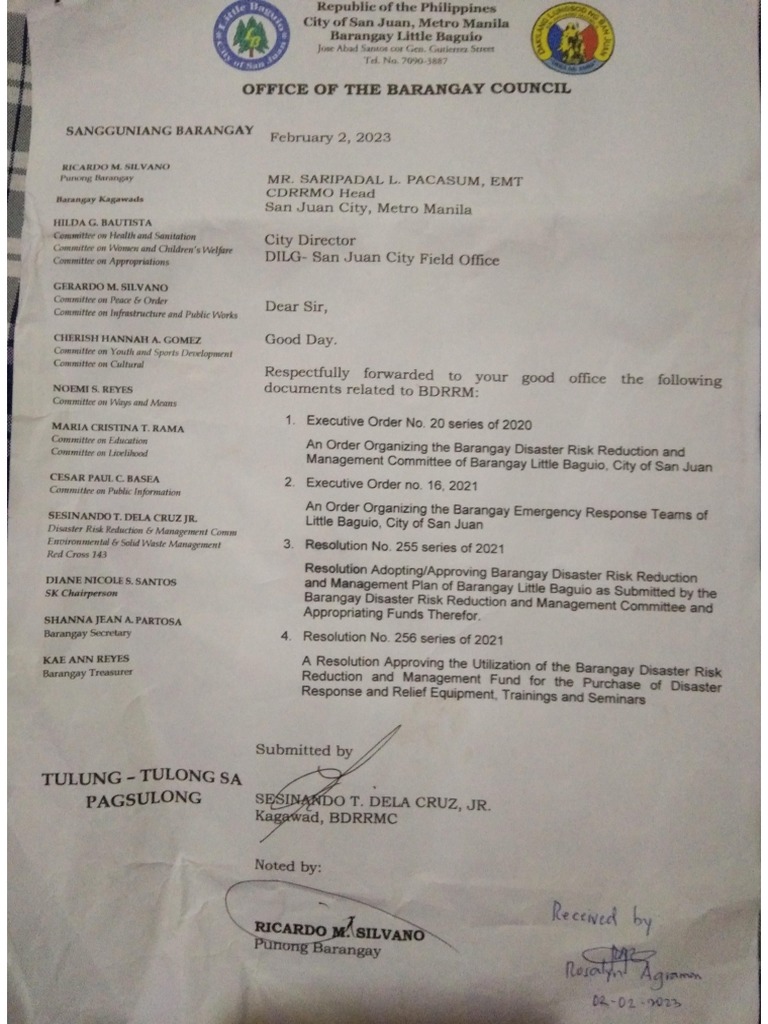 BDRRMC Receiving | PDF