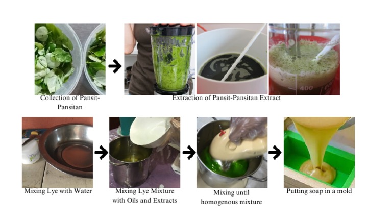 Collection of Pansit-Pansitan Extraction of Pansit-Pansitan Extract | PDF