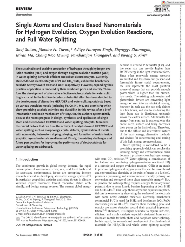 Advanced Energy Materials - 2019 - Sultan - Single Atoms and Clusters ...