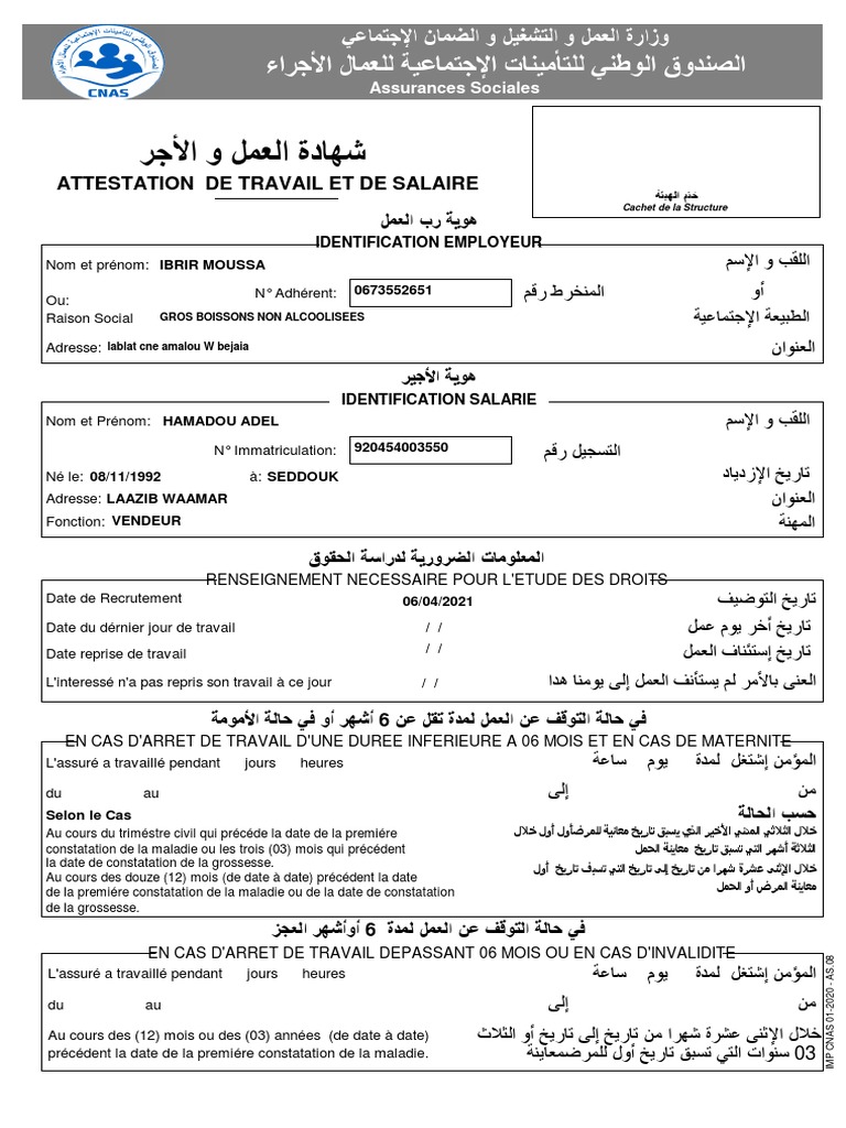 Formulaire Ats Cnas Document Pdf Nurse Job Search Planner, Nurse