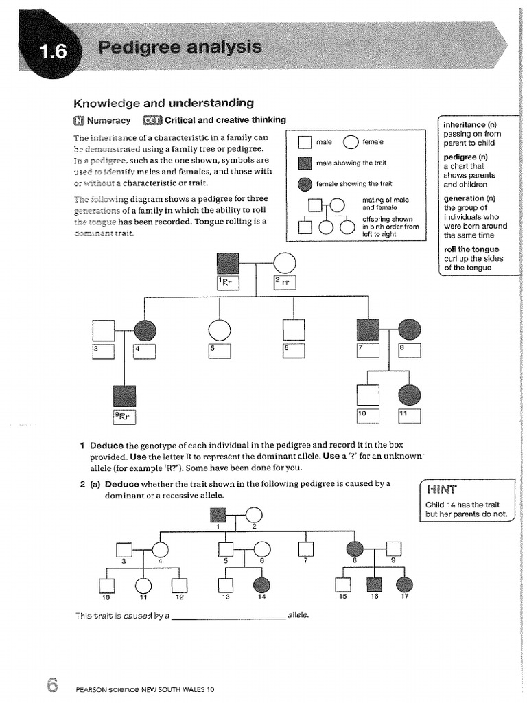 8.2 Pedigree Analysis | PDF