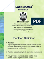 Easy Diatom Identification Guide | PDF