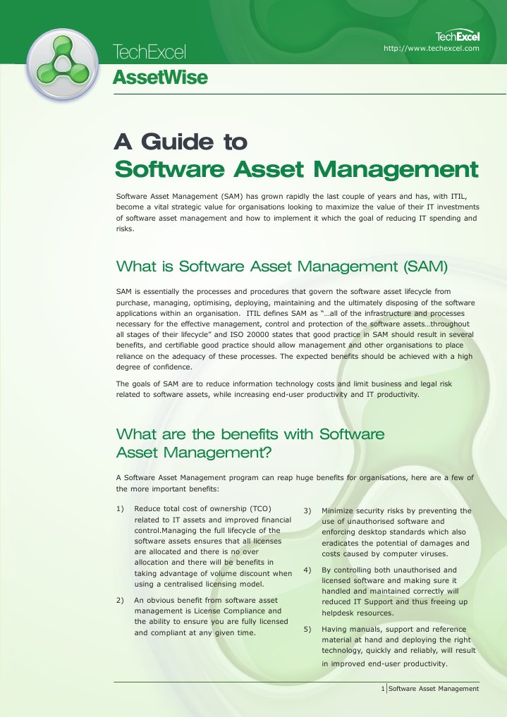 A Guide To Software Asset Management | PDF