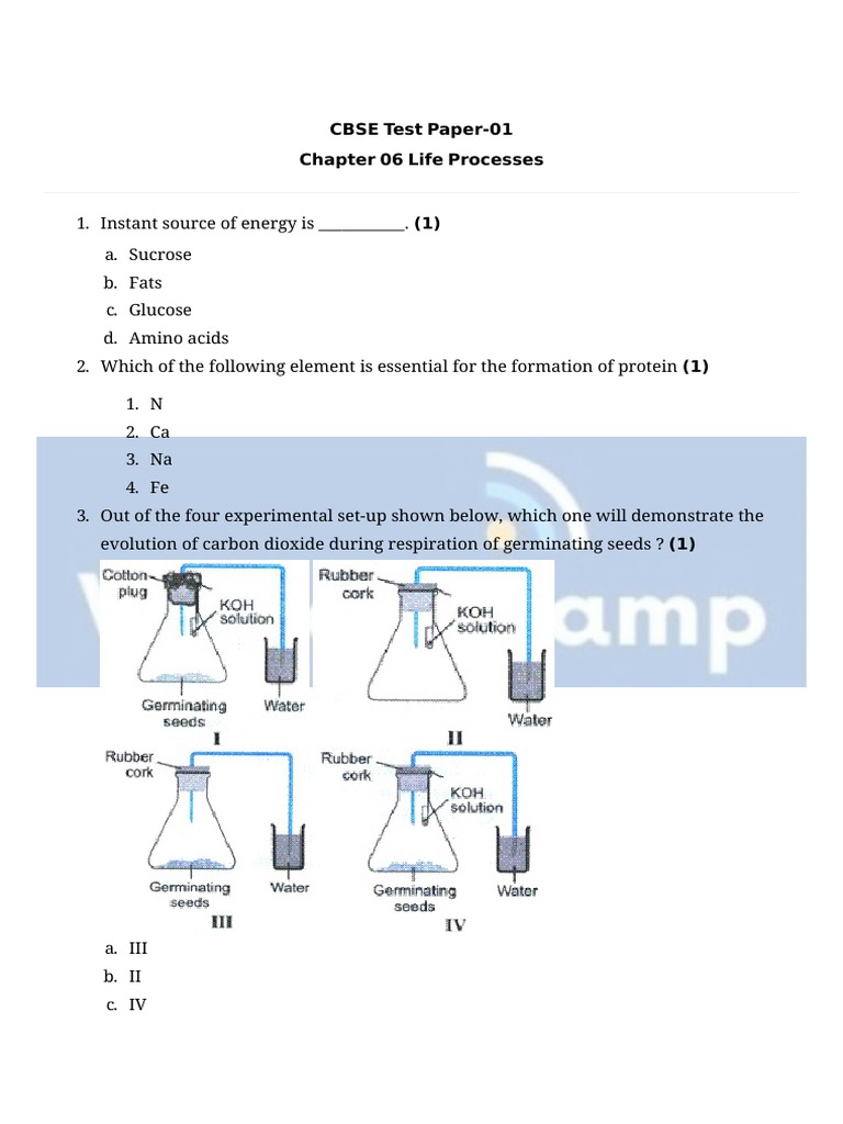 Cbse Test Paper-01 06 Life Processes | PDF | Cellular Respiration | Lymph