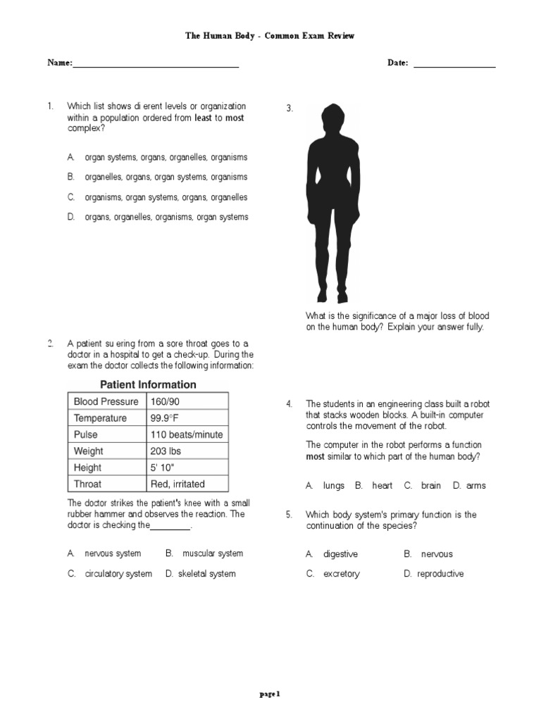 System of The Body Pre Test M2 | Download Free PDF | Human Body | Blood