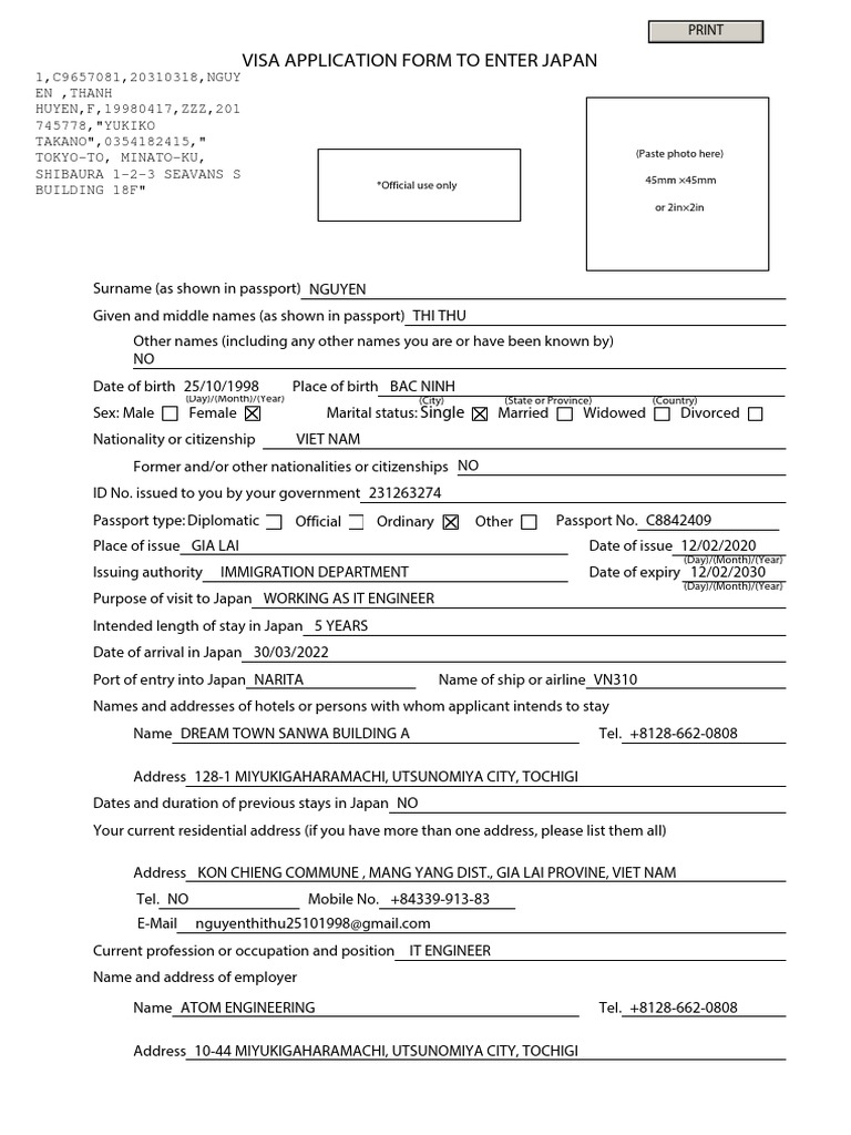 file mẫu Visa application form 2022 | PDF