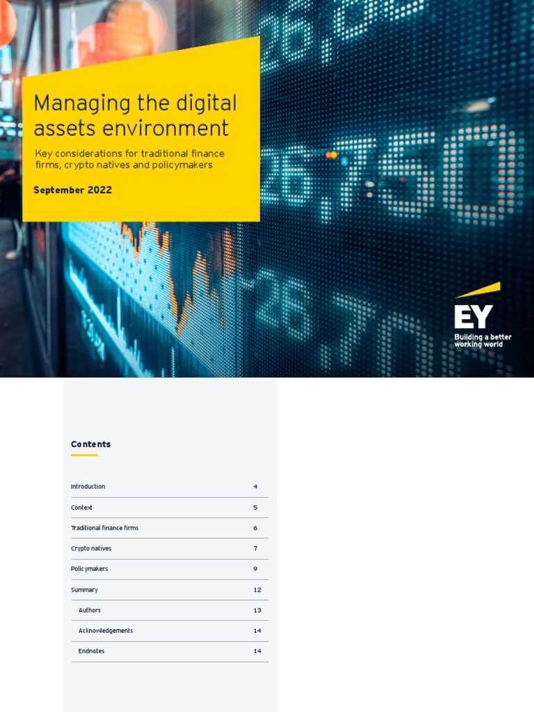 Ey Managing The Digital Assets Environment | PDF