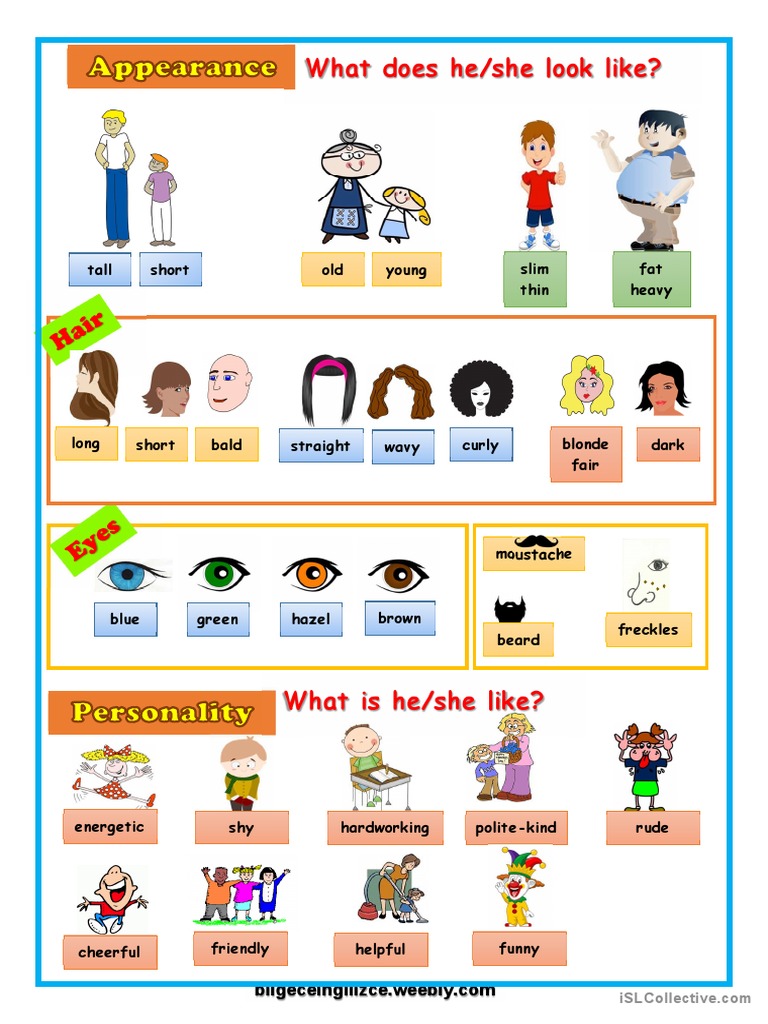 Physical Traits and Personality Overview | PDF