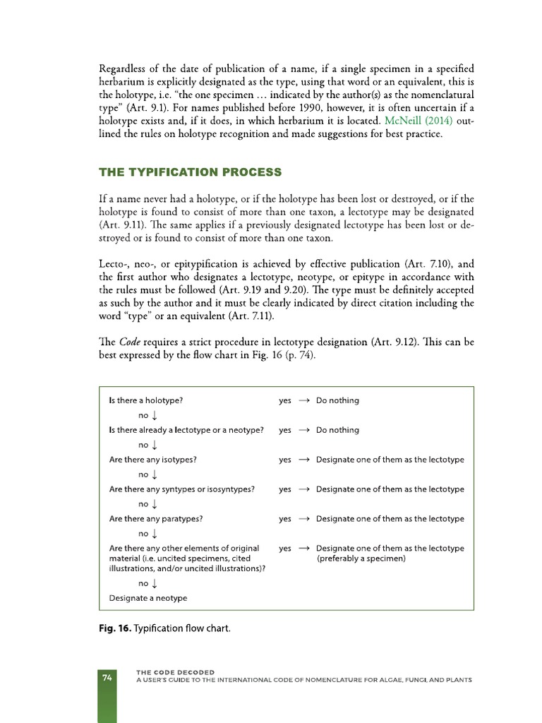 The Typification Process Pdf