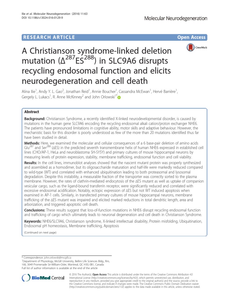 NHE6 Paper | PDF | Western Blot | Cerebellum