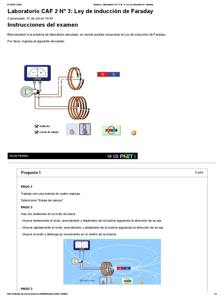 Ley de Inducción de Faraday en Laboratorio | PDF | Inducción electromagnética | Inductor