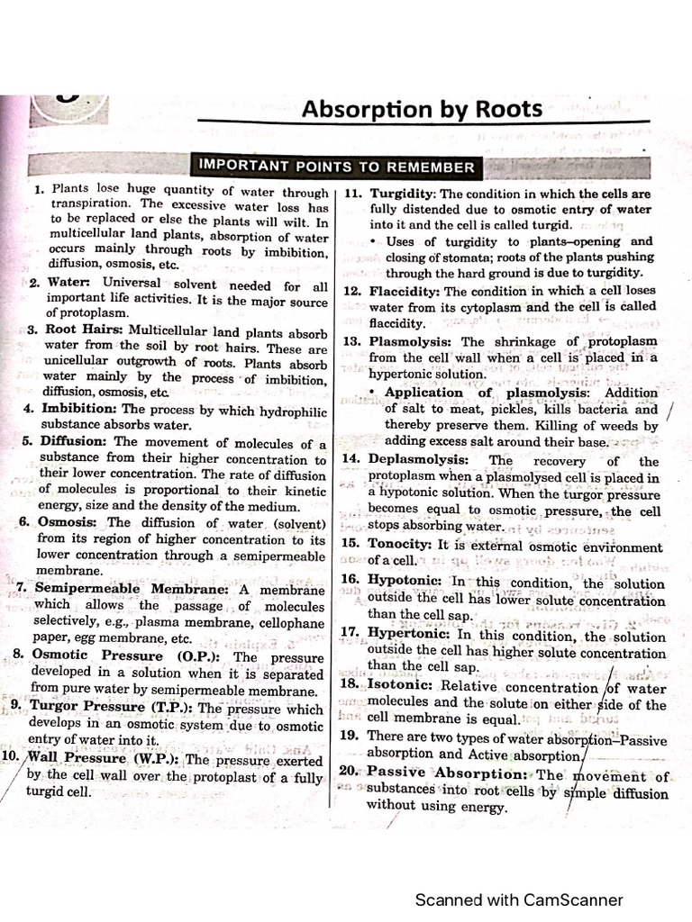 Absorption by Roots With Some Important | PDF