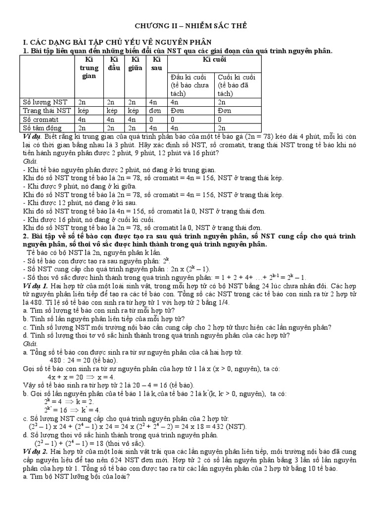 Huong Dan BT Nguyen Phan - Giam Phan | PDF