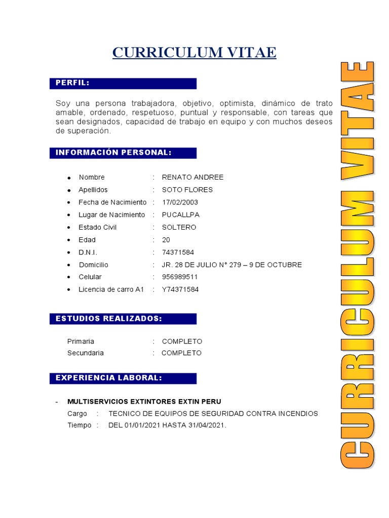 Curriculum Renato | PDF
