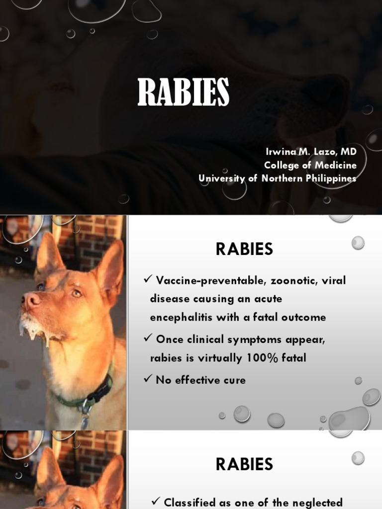 Rabies | PDF | Rabies | Health Sciences