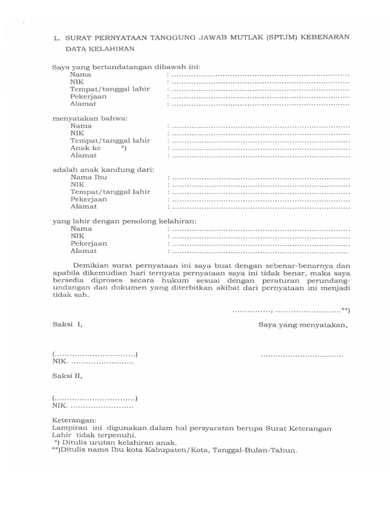 Form SPTJM Kelahiran | PDF