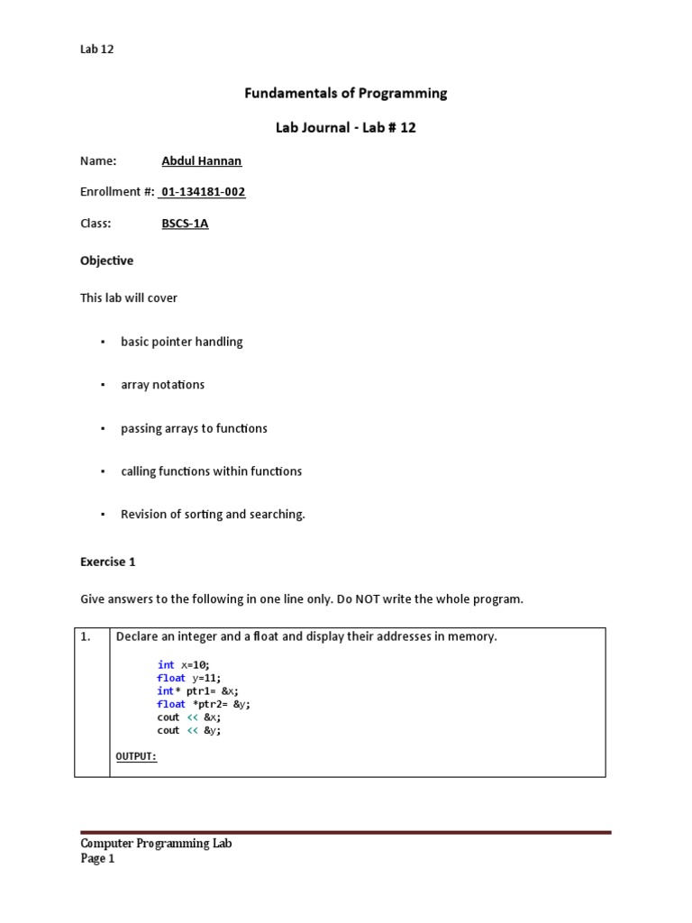 C Assignment Pointers Pdf Pointer Computer Programming Integer Computer Science