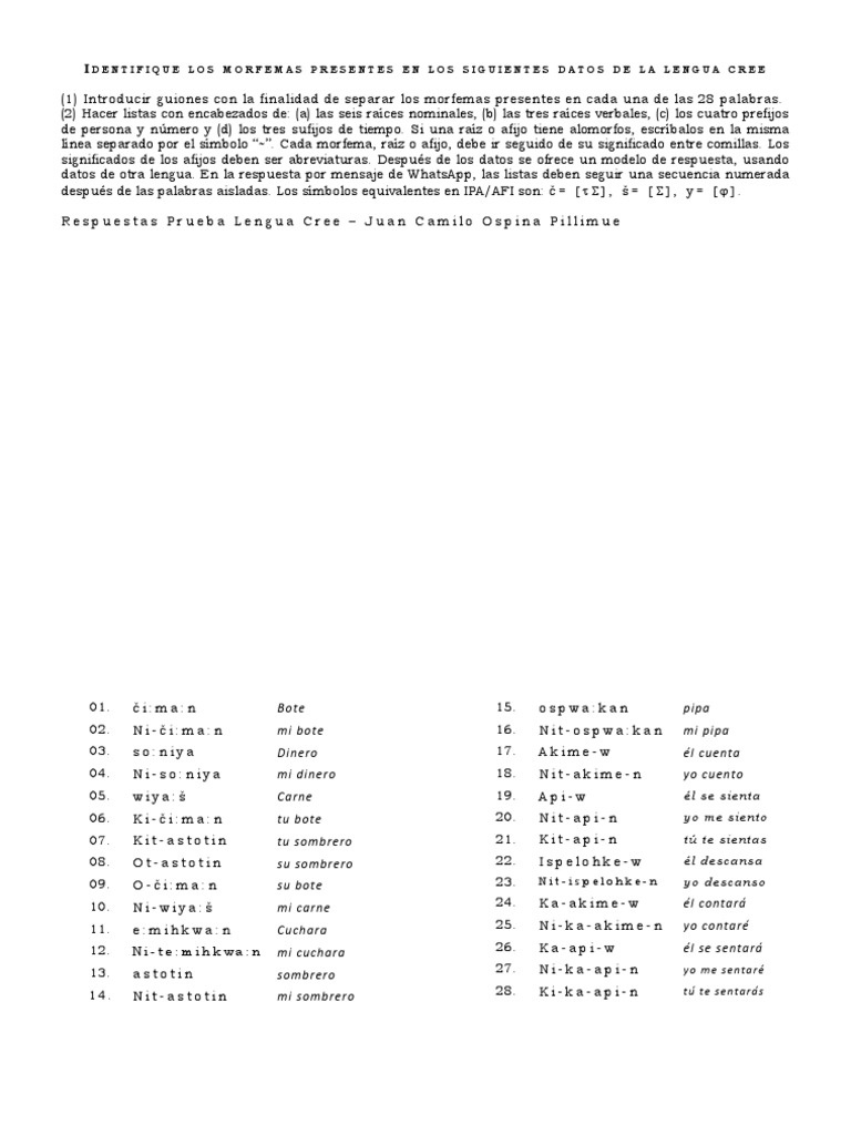 Prueba de Morfología CREE - Juan Camilo Ospina Pillimue | PDF