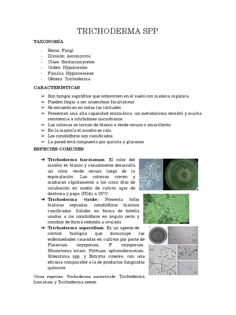 Aplicación de Trichoderma en Cultivos | PDF | Organismos