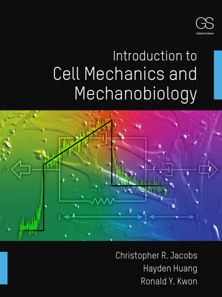 Introduction To Cell Mechanics and Mechanobiology | PDF | Stress ...