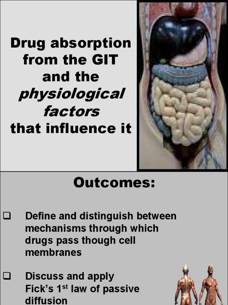 2.2 Drug Absorption From The GIT | PDF | Cell Membrane | Membrane Biology