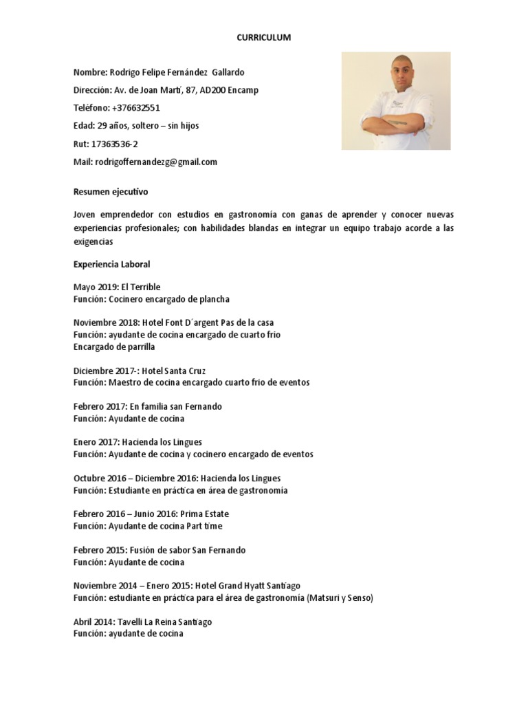 Curriculum Rodrigo Fernandez | PDF