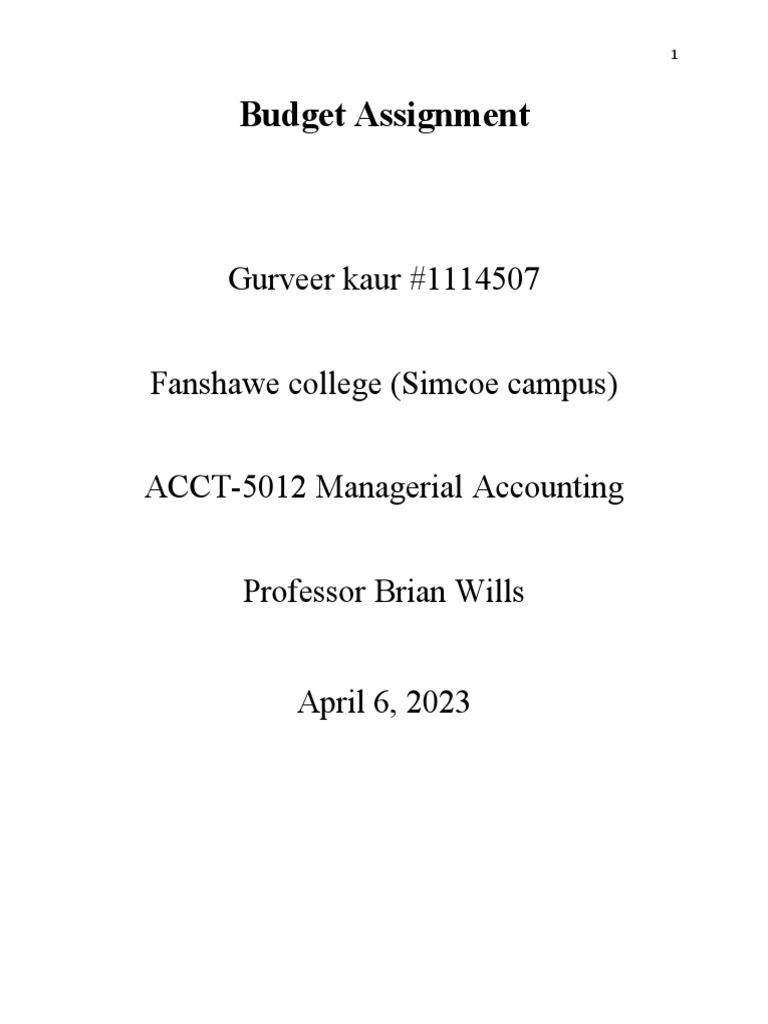 Budget Assignment | PDF | Economics | Accounting