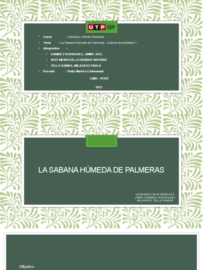 Sabana Húmeda de Palmeras en Perú | PDF