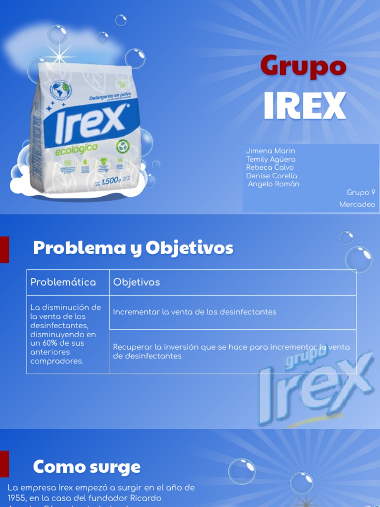 Avance 2 Proyecto Grupo 9 Irex | PDF