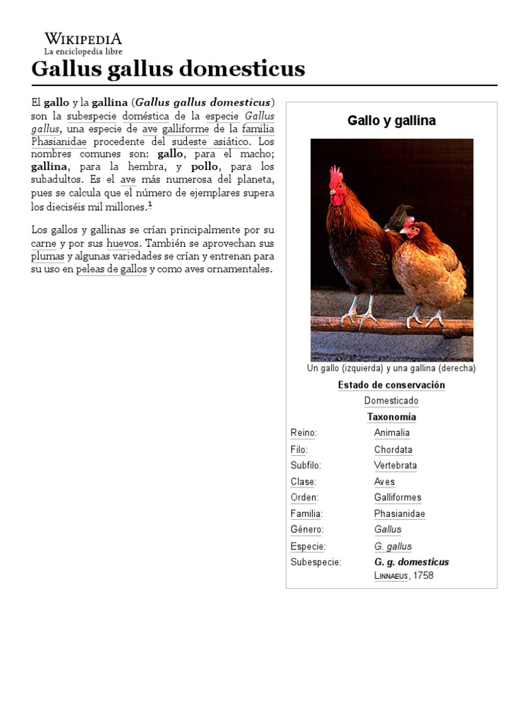 Gallus Gallus Domesticus - Wikipedia, La Enciclopedia Libre | PDF