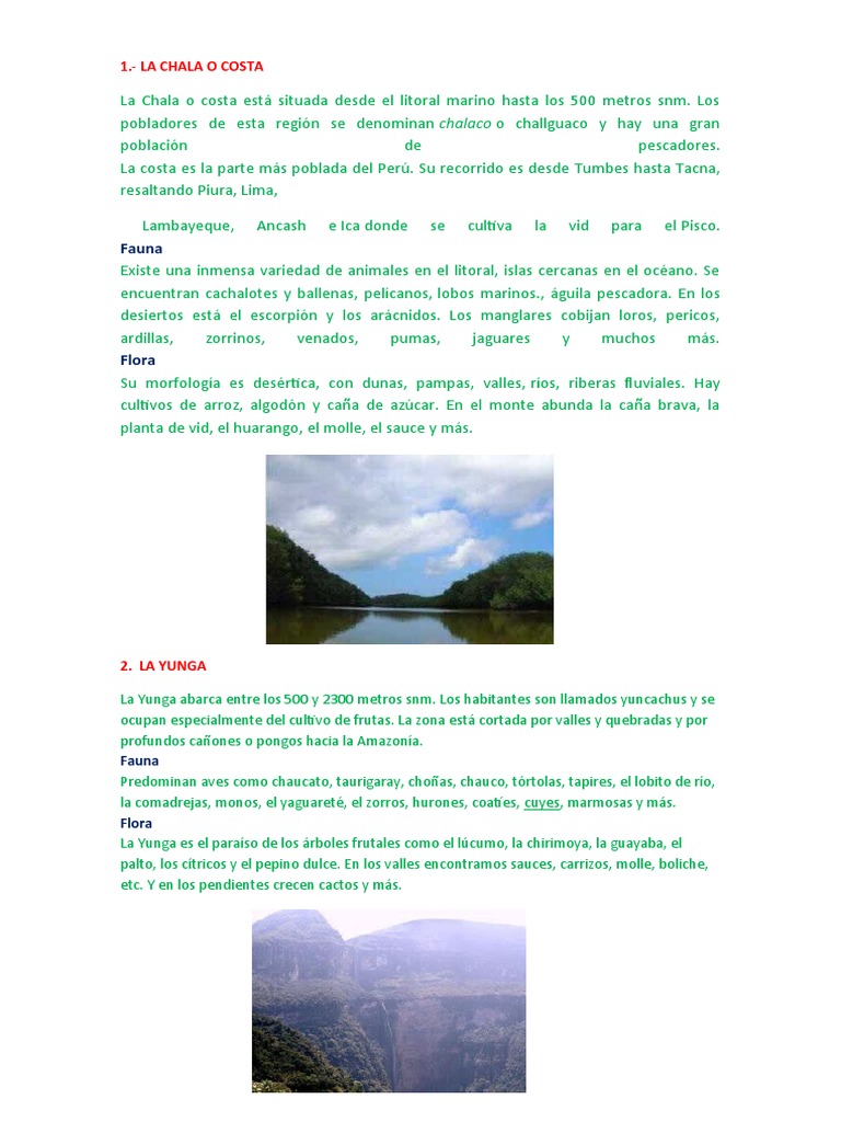 Las 8 Regiones Del Peru Flora y Fauna | PDF