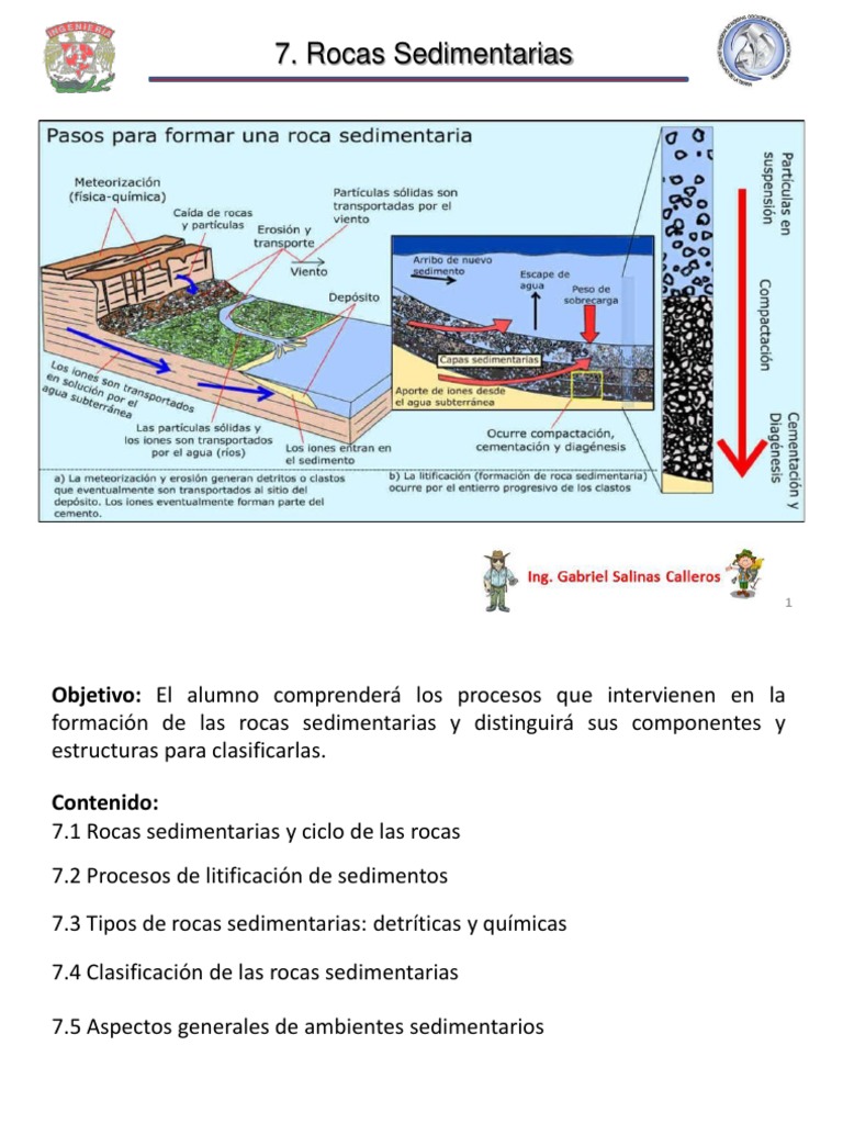 TEMA 7 Rocas sedimentarias | PDF | Roca clástica | Roca (geología)