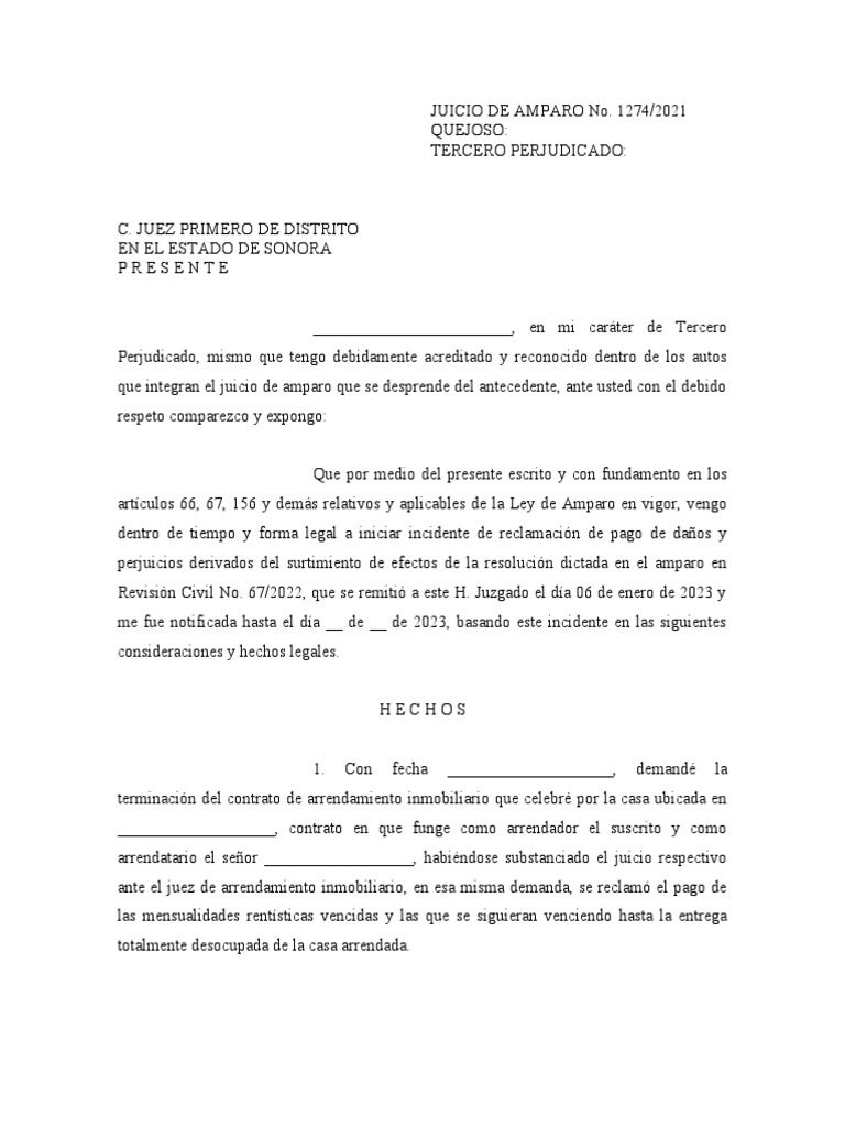 Formato de Incidente Daños y Perjuicios | Descargar gratis PDF | Sentencia (ley) | Ley común