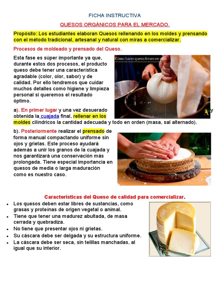 Elaboracion Queso | PDF | Queso