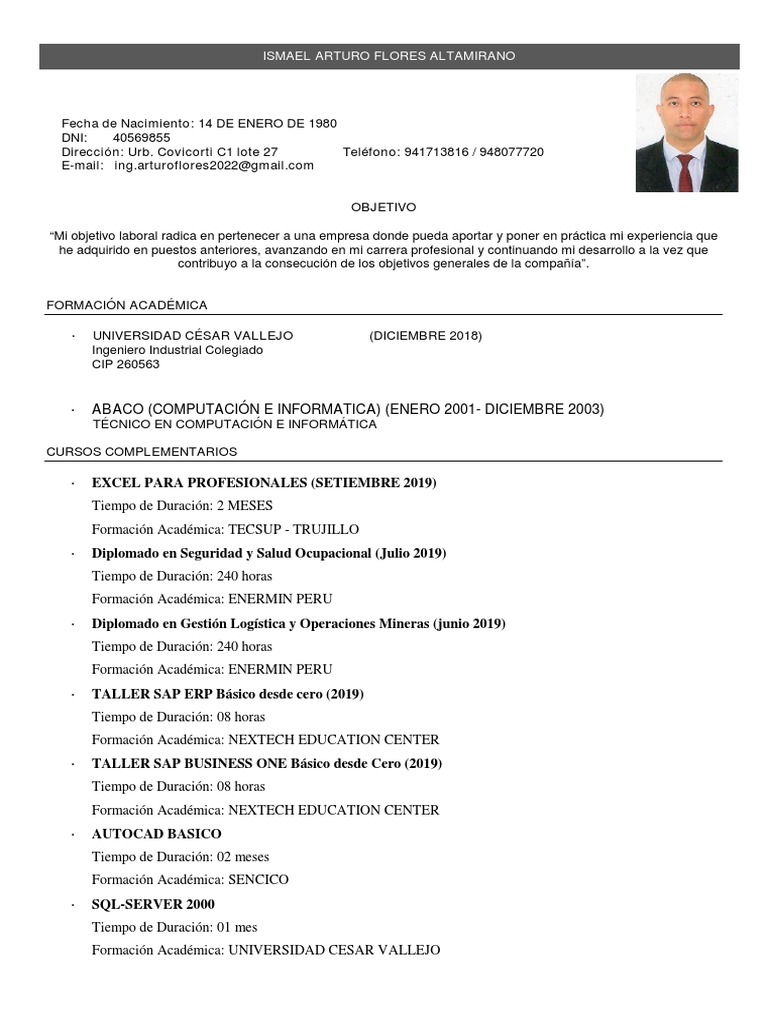 CV 2023 Flores | Descargar gratis PDF | Business
