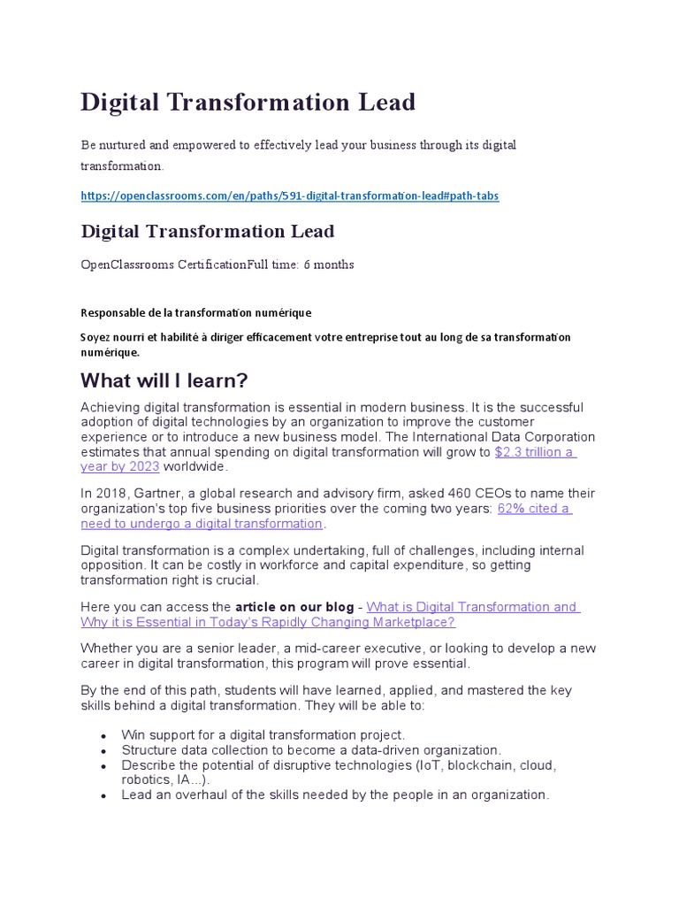 Digital Transformation Lead Openclassrooms | PDF | Artificial Intelligence | Intelligence (AI ...