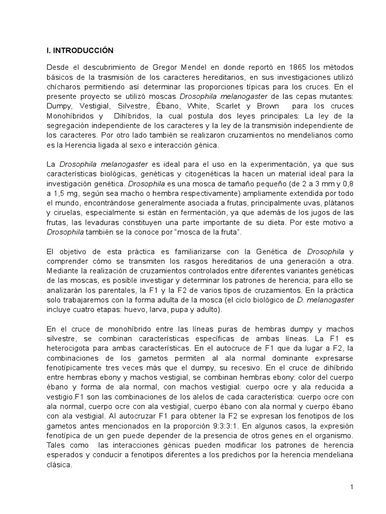Genética de Drosophila: Cruzamientos y Análisis | PDF | Dominancia ...