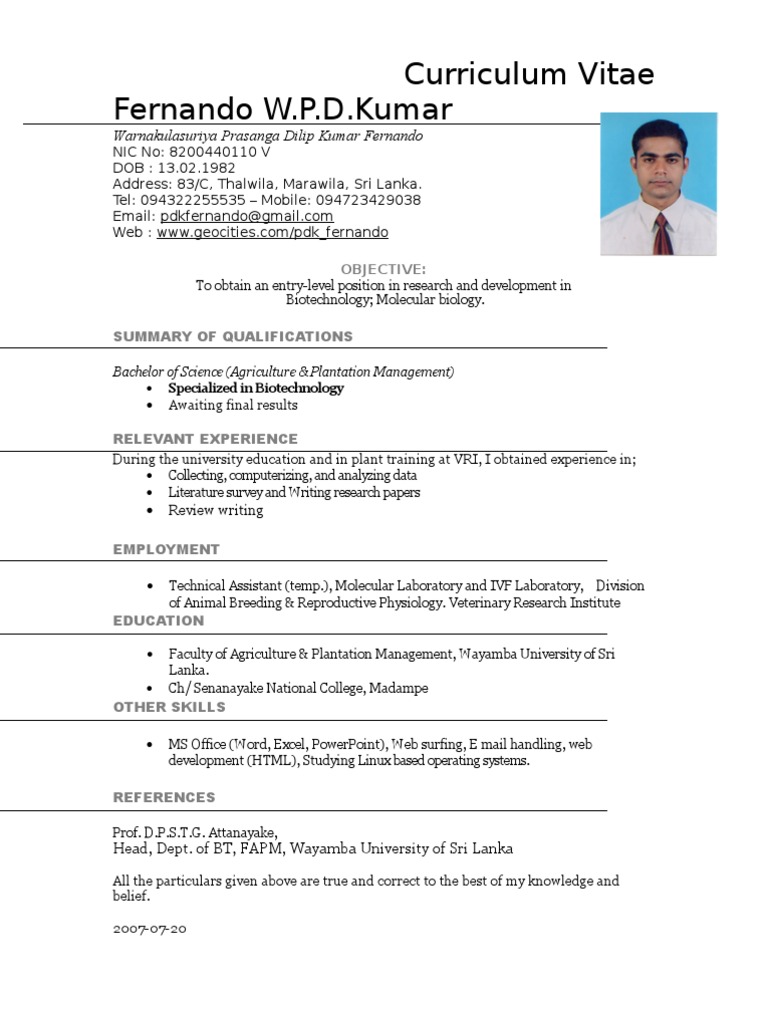 Dilip CV New | PDF | Business | Computers