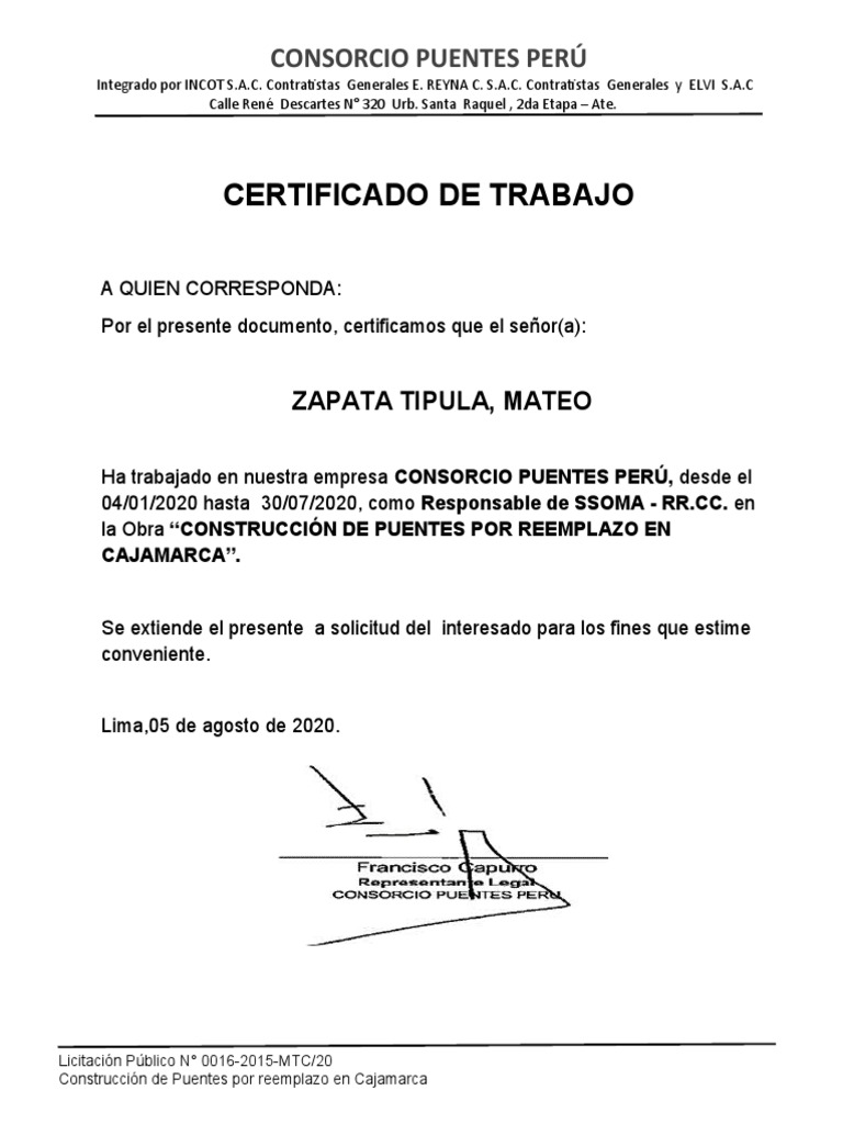 Consorcio Puentes Perú | PDF