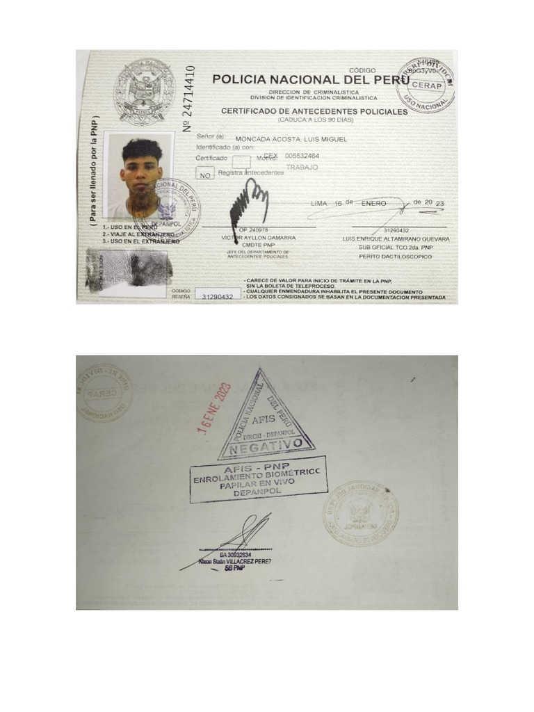 Documentos Luis Miguel | PDF