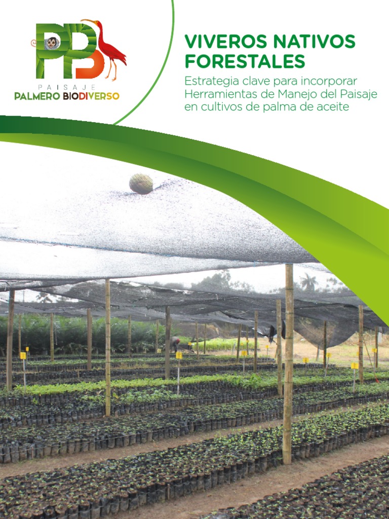 Viveros Nativos Forestales | PDF | Semilla | Fruta