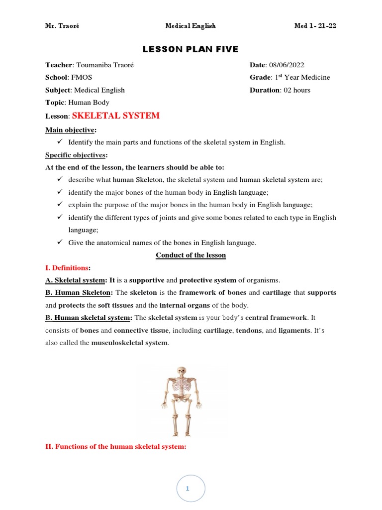 Lesson Five 4 - 5837179529600176303 | PDF | Vertebral Column | Bone