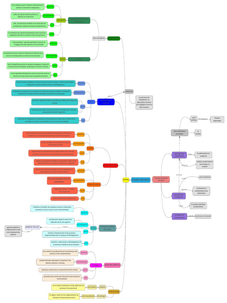 Carte Conceptuelle Pensée Infirmière | PDF