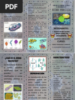 Biografía de Carlos Lineo | PDF | Eucariotas | Plantas