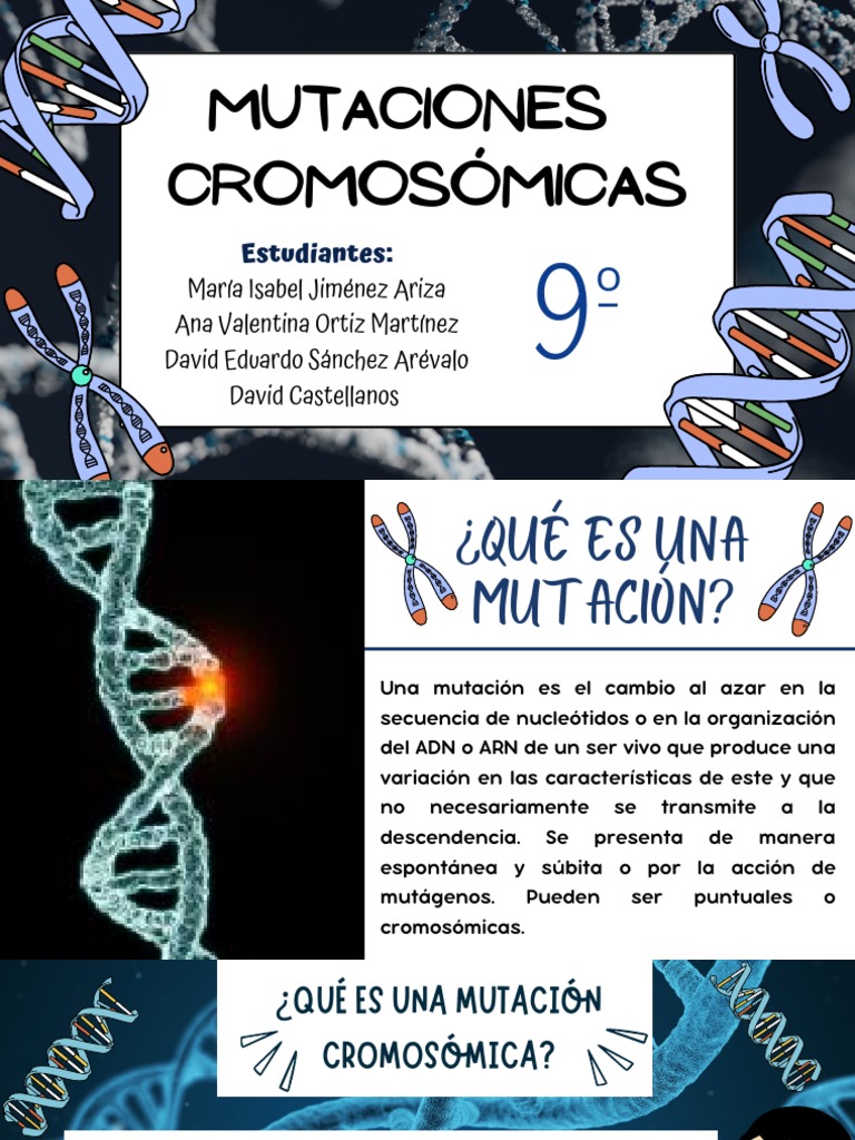 Mutaciones Cromosómicas: Tipos y Ejemplos | PDF | Mutación | Cromosoma