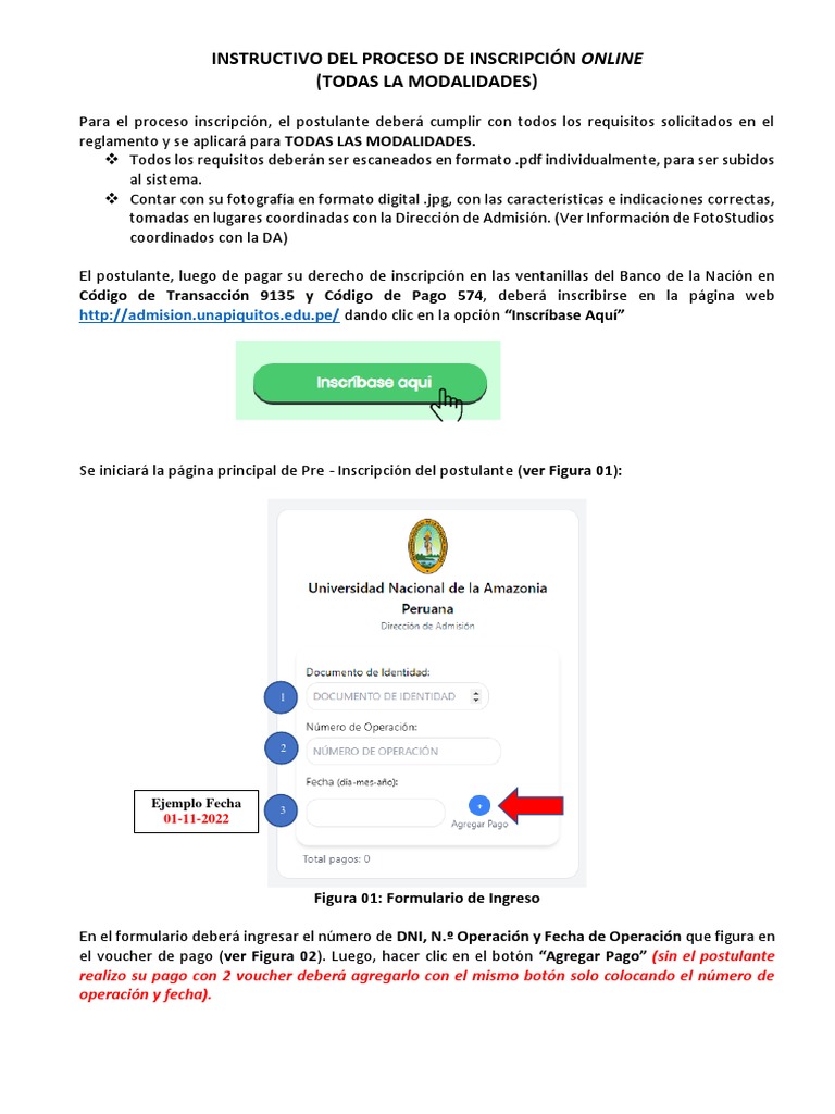 Instructivo Del Proceso de Inscripcion Online | PDF