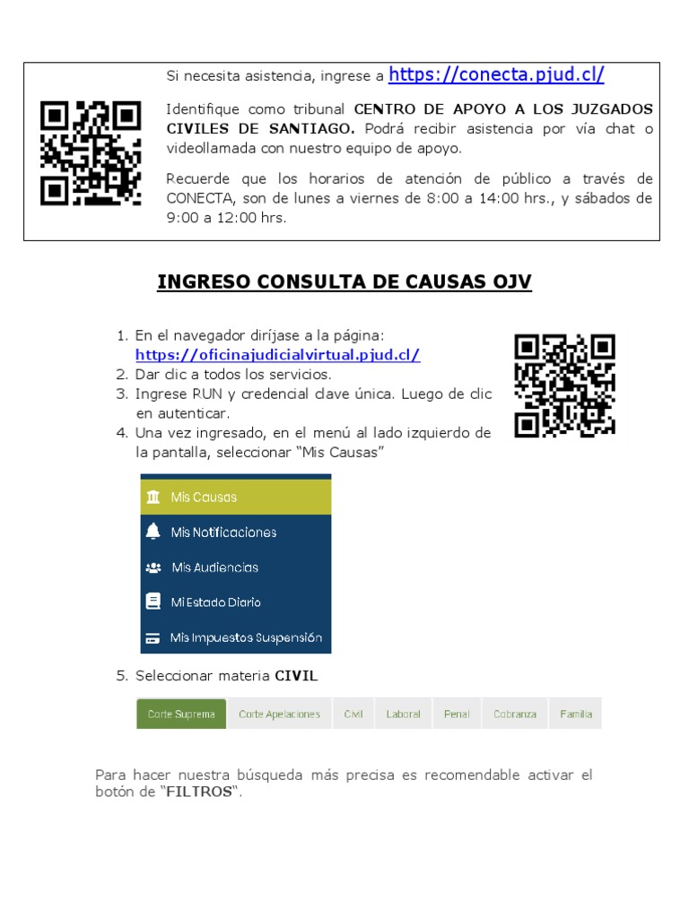 Conecta Pjud | PDF