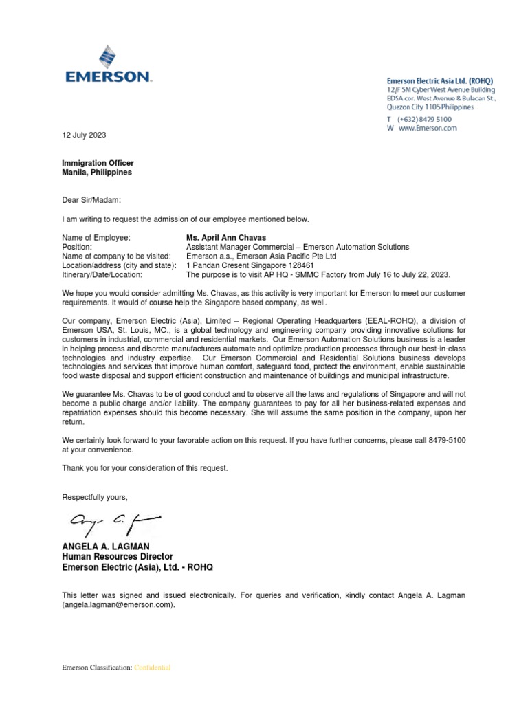 Visa Request for Employee Travel | PDF