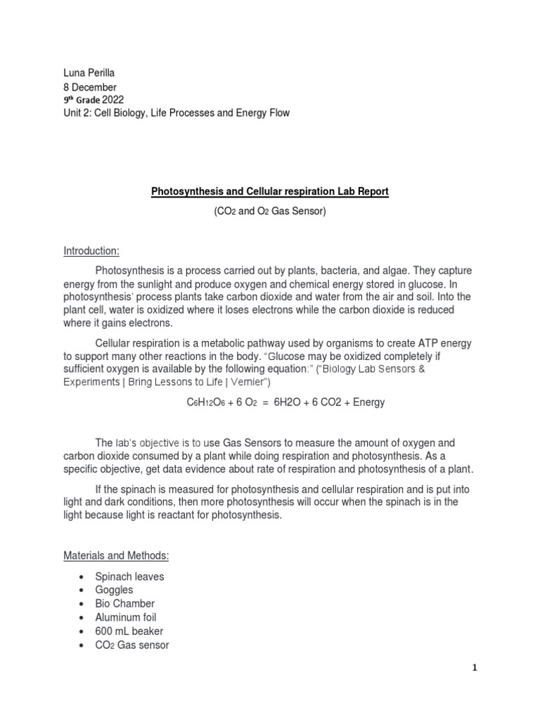Photosynthesis and Cellular Respiration - Lab Report | PDF ...
